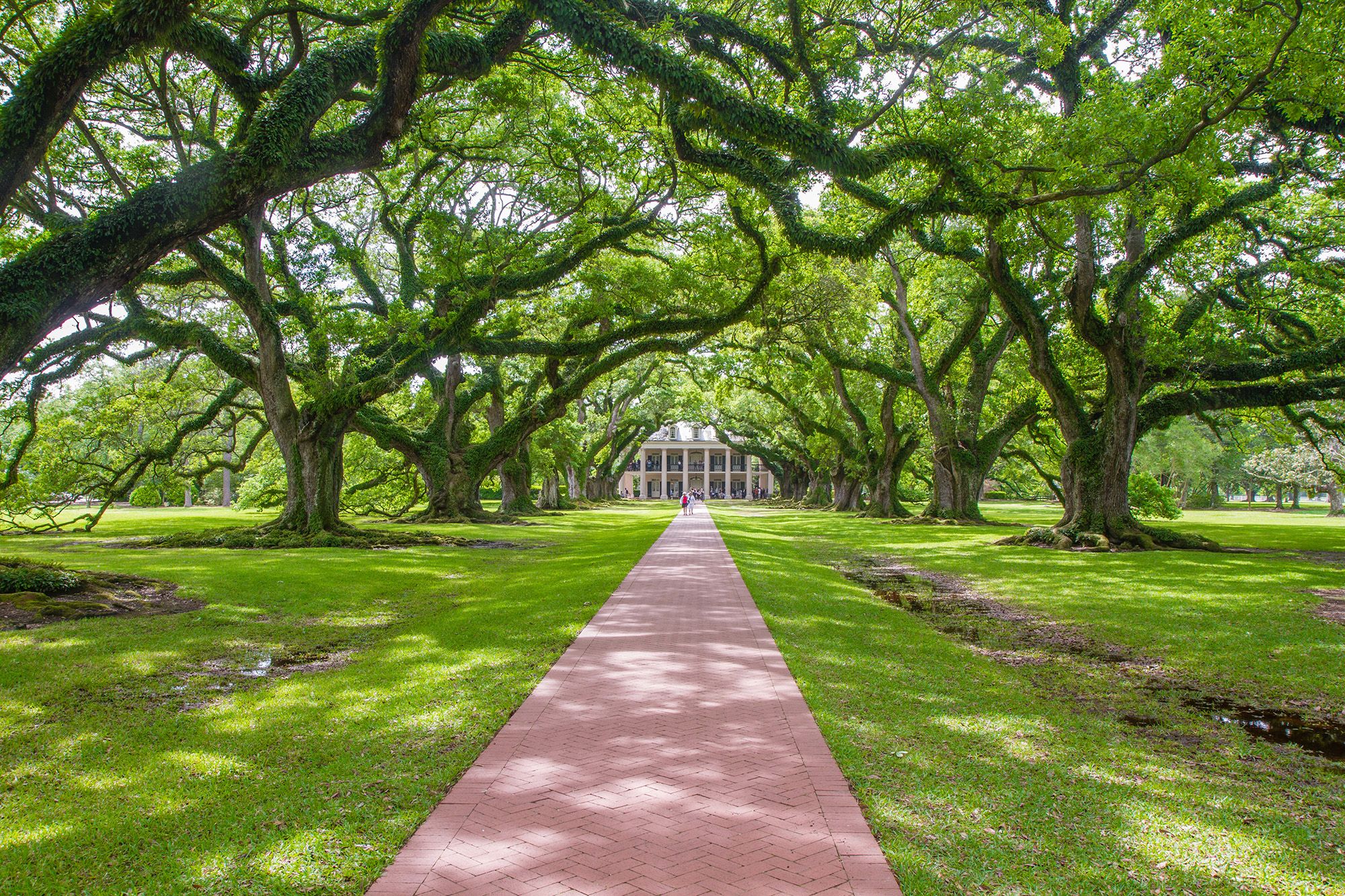 Visiter Bayous de Louisiane : préparez votre séjour et voyage Bayous de ...