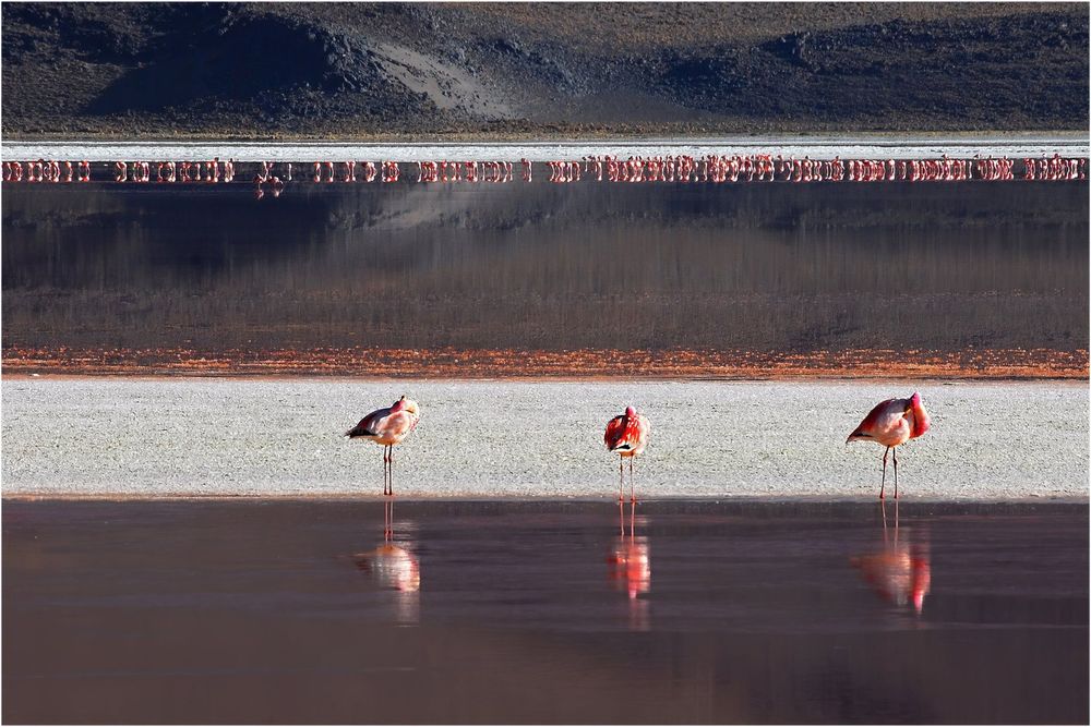 Visiter Laguna Hedionda : préparez votre séjour et voyage Laguna ...