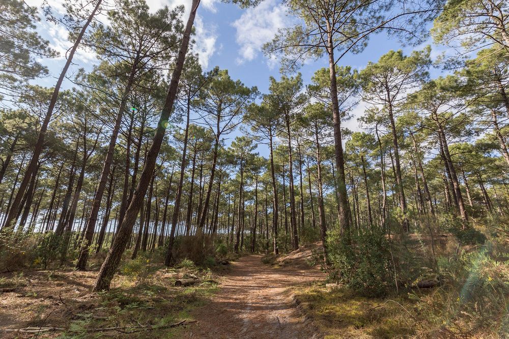 Les Landes secrètes