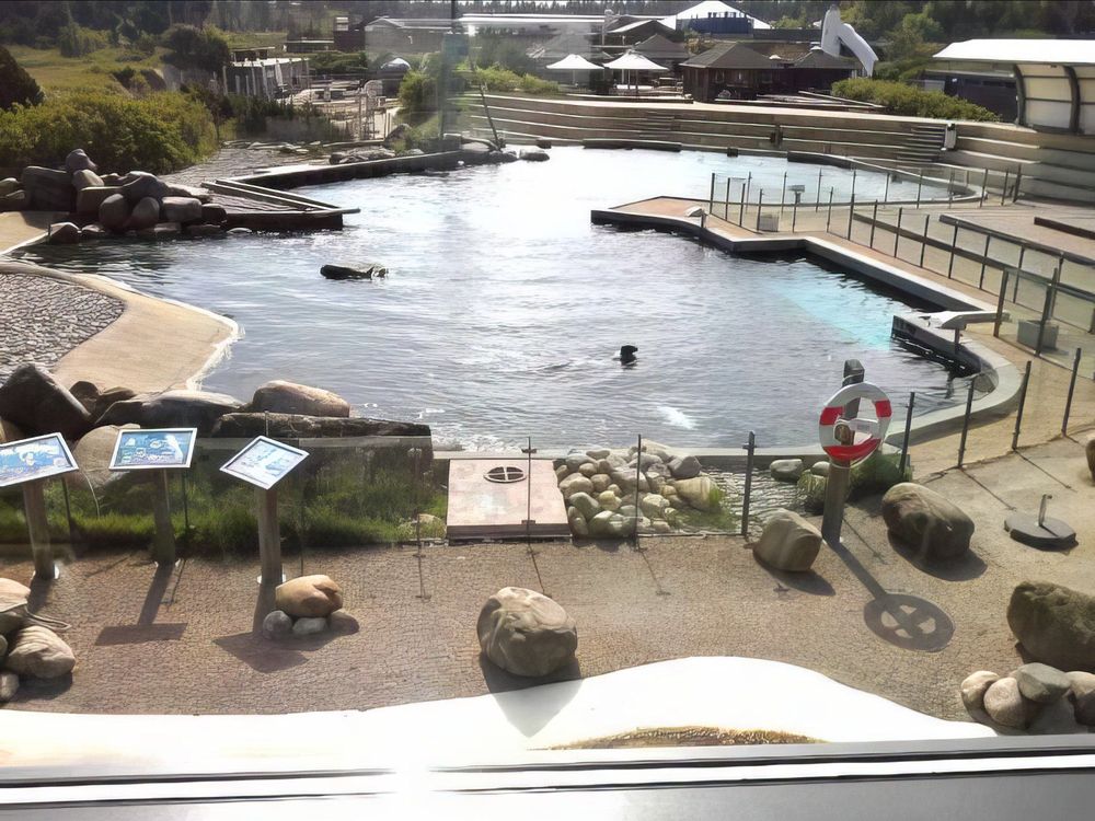 Visiter Musée de la Mer du Nord : préparez votre séjour et voyage Musée ...