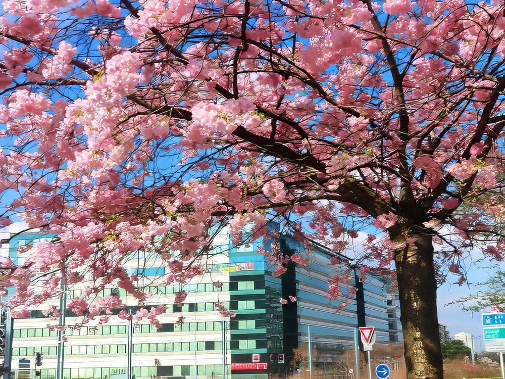 Visiter Bobigny : préparez votre séjour et voyage Bobigny | Routard.com