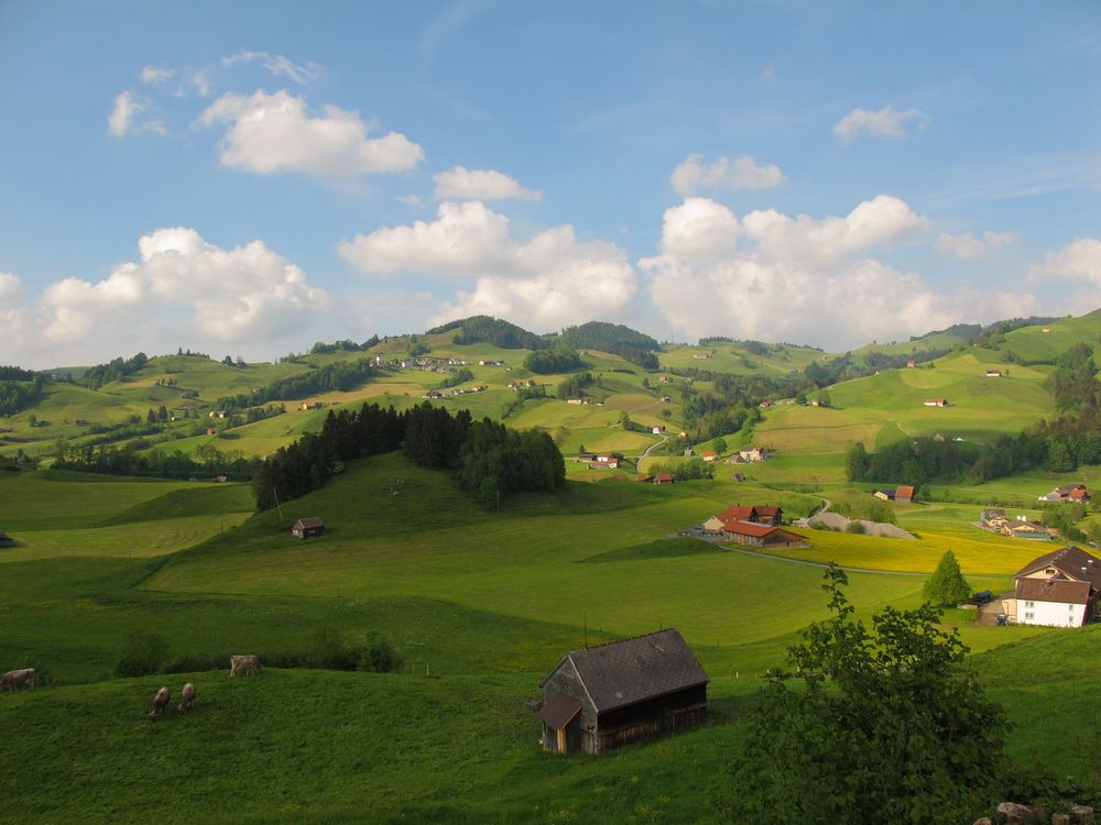 Visiter Appenzell : préparez votre séjour et voyage Appenzell | Routard.com