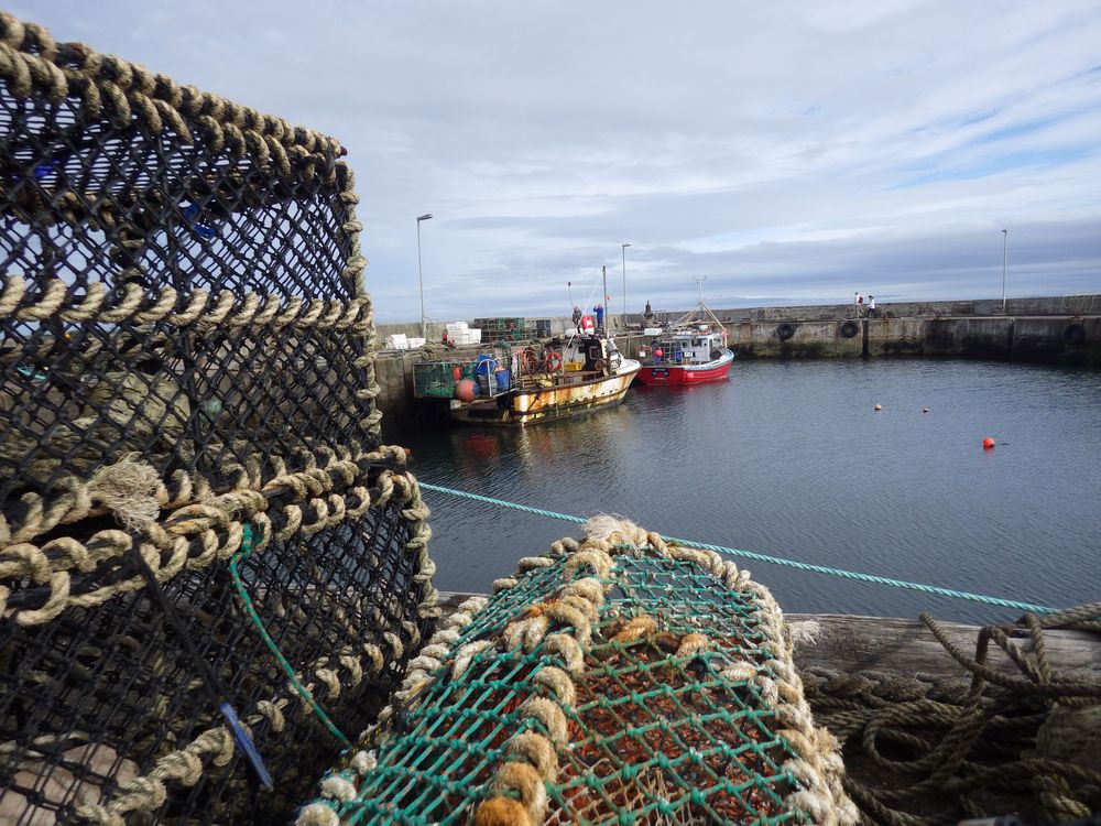 Visiter Thurso : préparez votre séjour et voyage Thurso | Routard.com