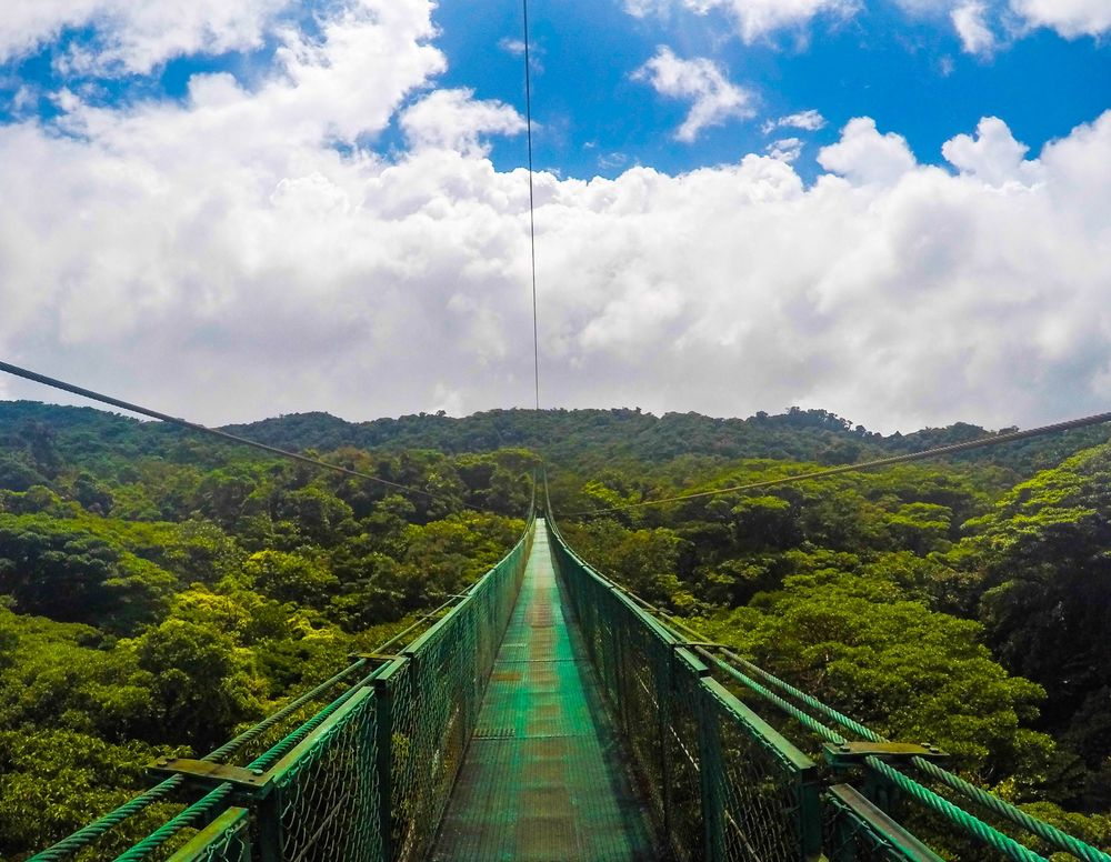 Visiter Selvatura Adventure Park : préparez votre séjour et voyage ...