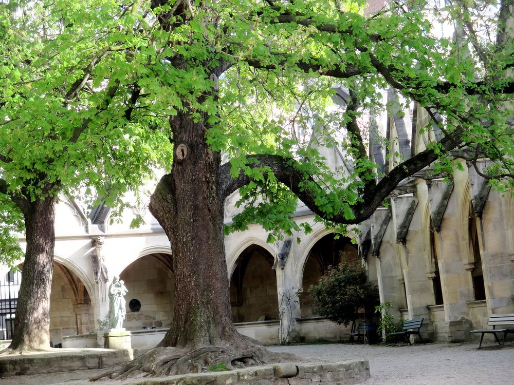 Visiter Église Saint-Séverin : préparez votre séjour et voyage Église ...