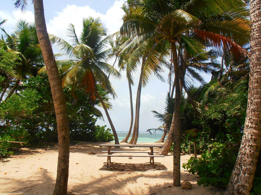 Visiter Anse au Bois : préparez votre séjour et voyage Anse au Bois ...
