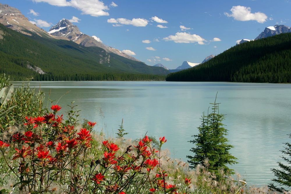Visiter Bow lake : préparez votre séjour et voyage Bow lake | Routard.com