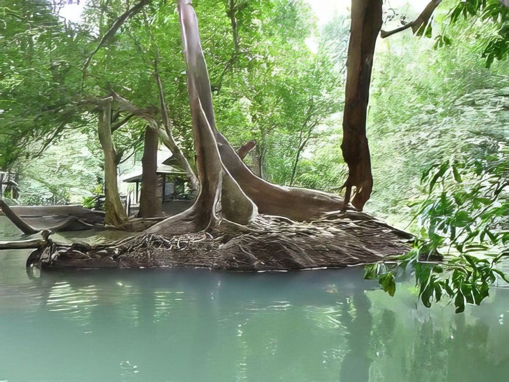 Visiter Than Bokkharani National Park : préparez votre séjour et voyage ...