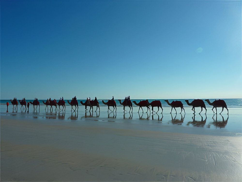 Visiter Cable Beach : préparez votre séjour et voyage Cable Beach ...