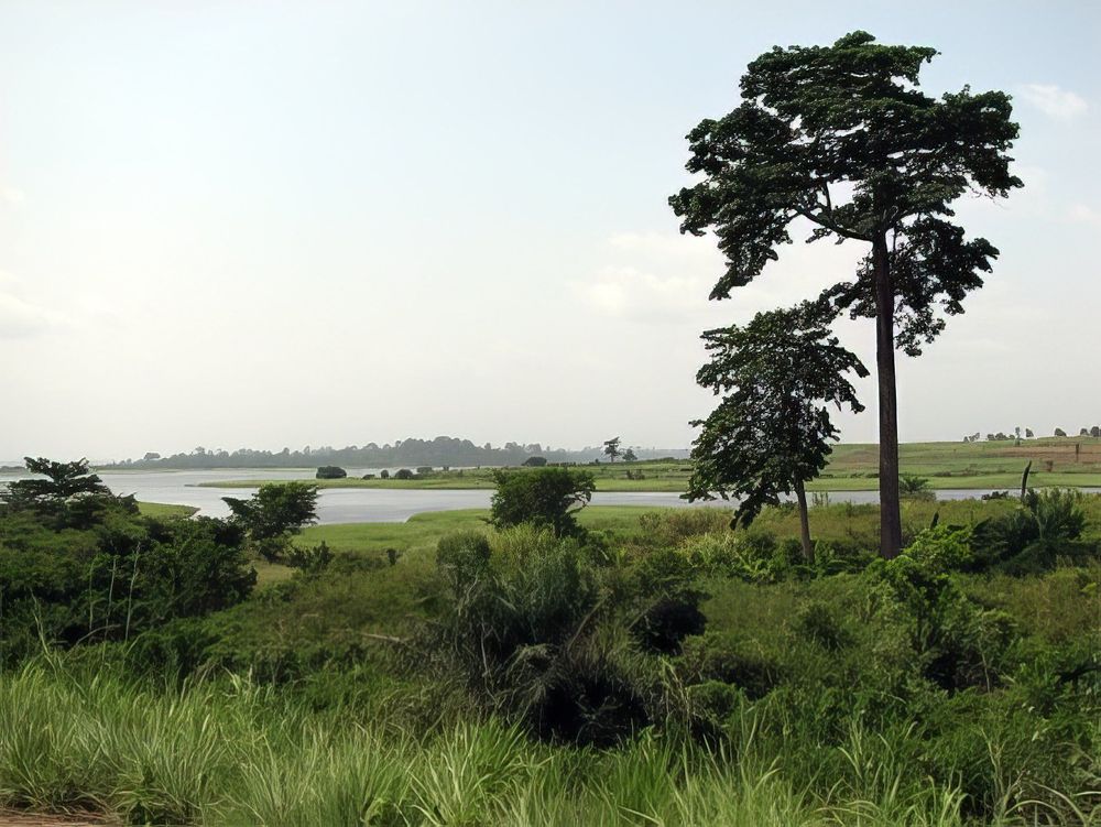 Visiter Lac du Buyo : préparez votre séjour et voyage Lac du Buyo ...