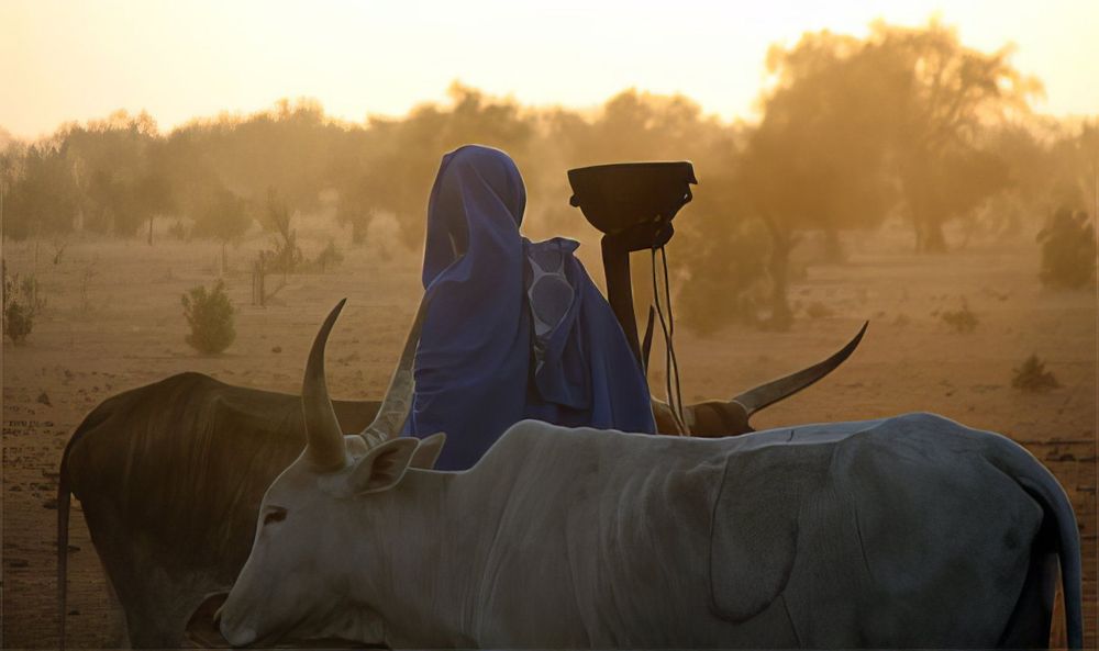 Visiter Ndioum : préparez votre séjour et voyage Ndioum | Routard.com