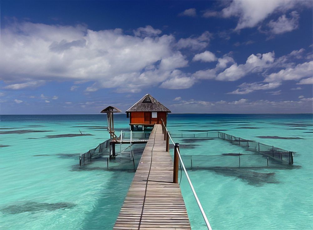 Visiter Fakarava : préparez votre séjour et voyage Fakarava | Routard.com