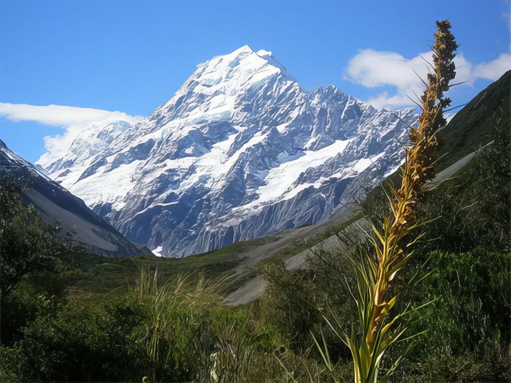 Visiter Mount Cook National Park : préparez votre séjour et voyage ...