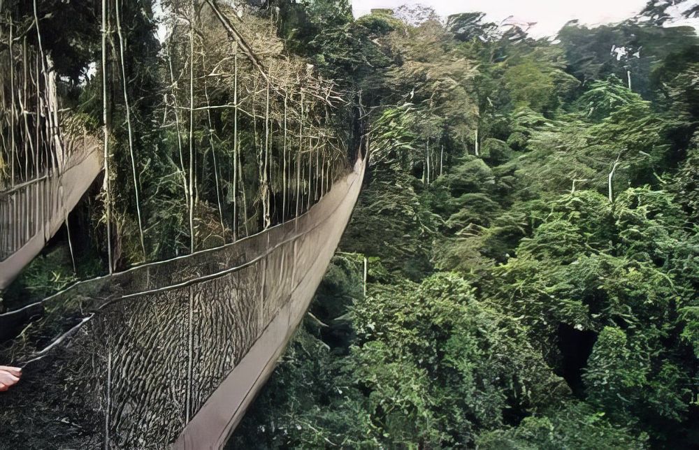 Visiter Kakum National Park : préparez votre séjour et voyage Kakum ...