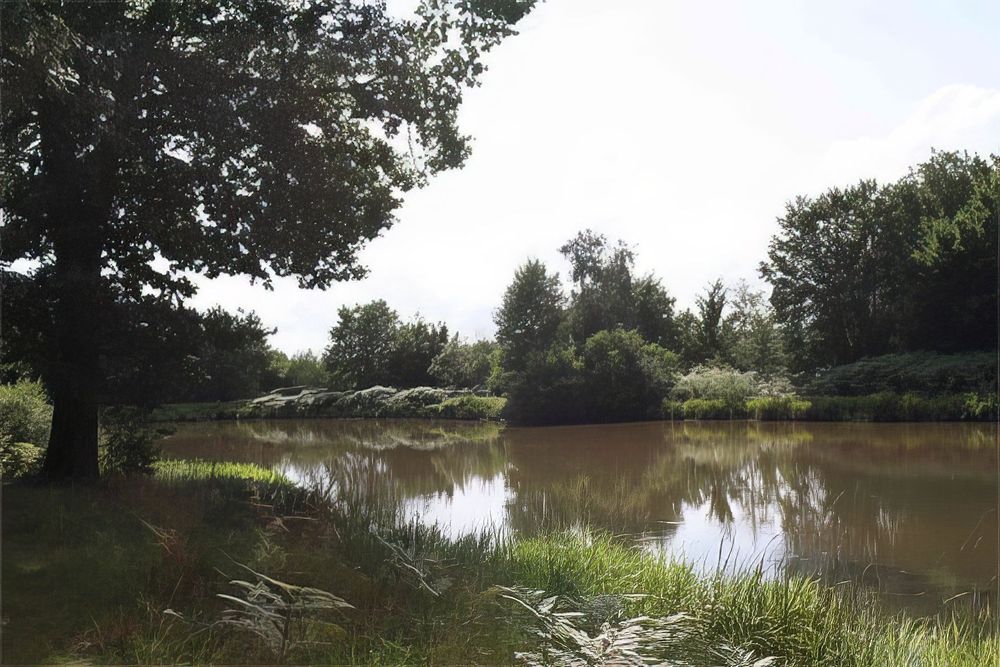 Visiter Forêt d'Orléans : préparez votre séjour et voyage Forêt d ...
