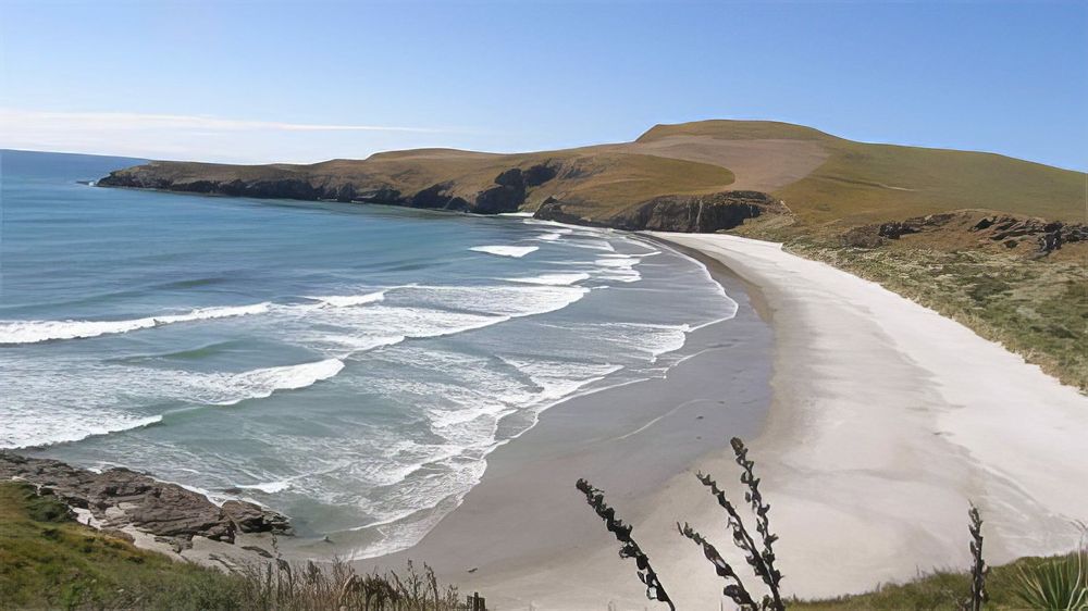 Visiter Dunedin : préparez votre séjour et voyage Dunedin | Routard.com