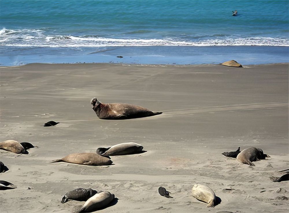 Visiter Punta Delgada : préparez votre séjour et voyage Punta Delgada ...
