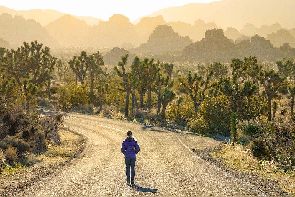 Joshua Tree National Park : 6 expériences à vivre dans le désert de ...