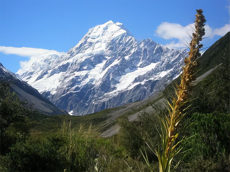 Visiter Mount Cook National Park : préparez votre séjour et voyage ...