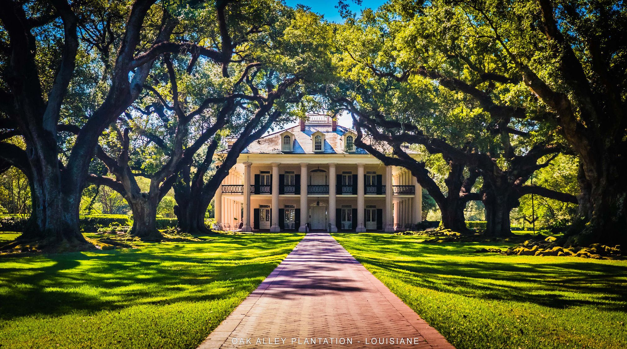 Visiter Bayous de Louisiane : préparez votre séjour et voyage Bayous de ...