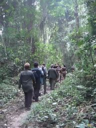 Cameroun : les incontournables | Que faire, que voir, que visiter